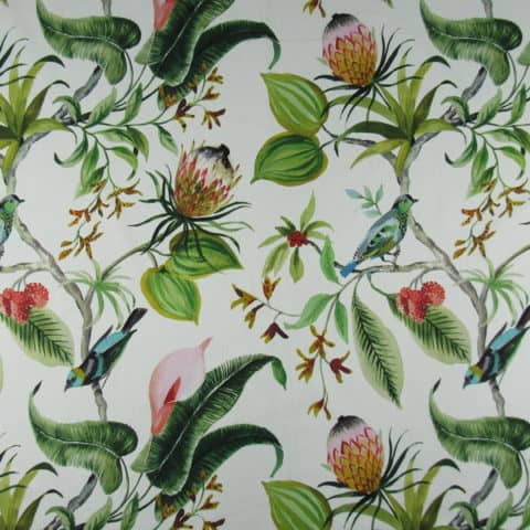 Hamilton Fabrics Paradise Leaf | Tropical Bird Fabric | 1502 Fabrics